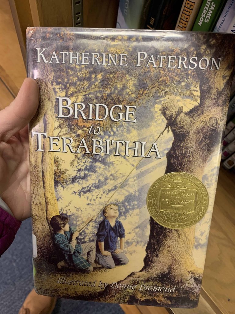 18 Outstanding Books For Middle School Boys (even Reluctant Readers ...