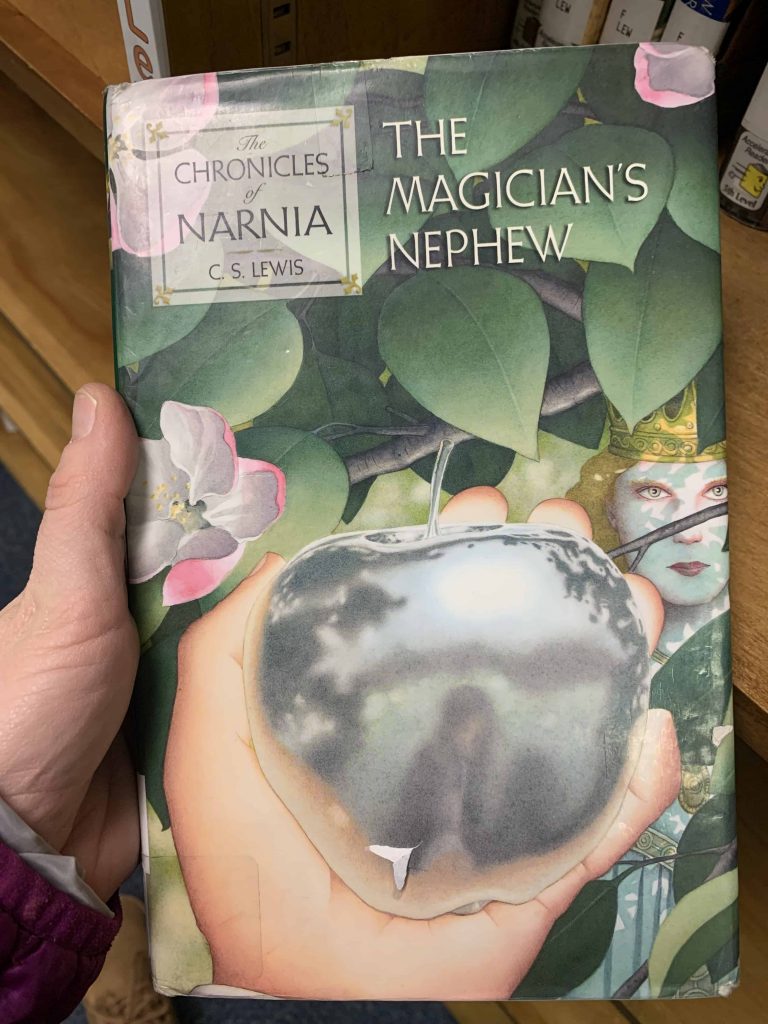 18 Outstanding Books For Middle School Boys (even Reluctant Readers ...