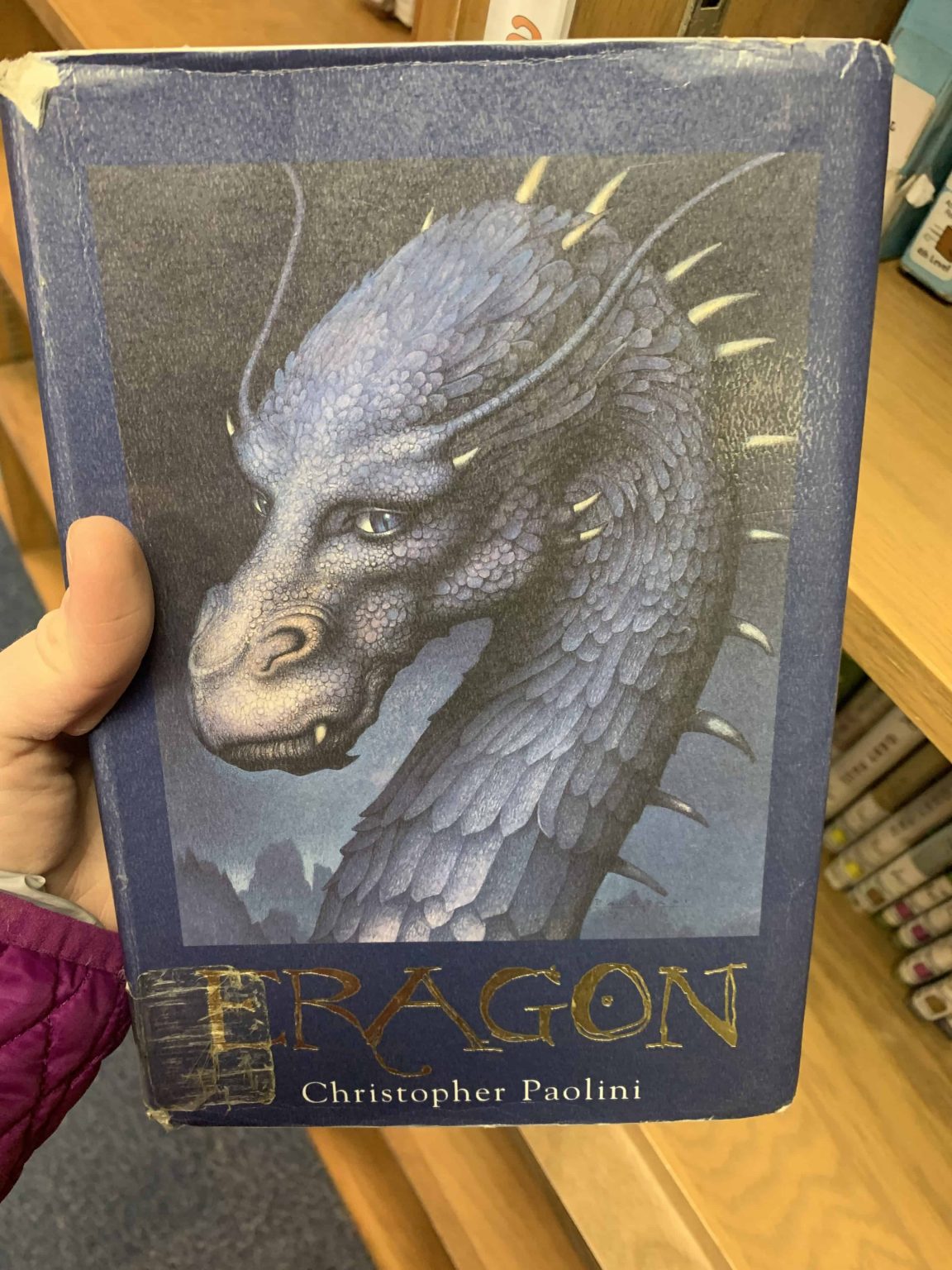 18 Outstanding Books For Middle School Boys (even Reluctant Readers ...