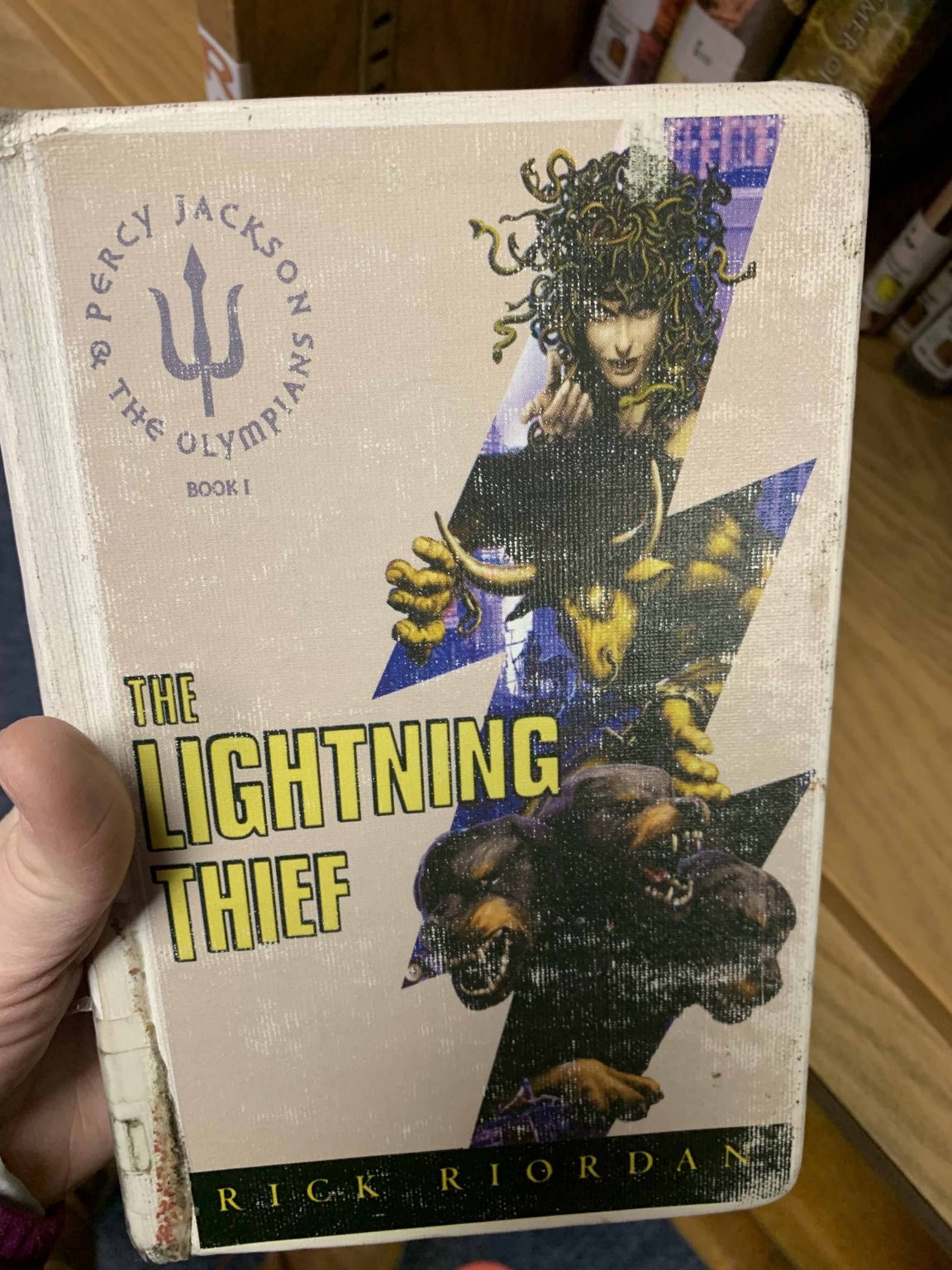 18 Outstanding Books For Middle School Boys (even Reluctant Readers ...